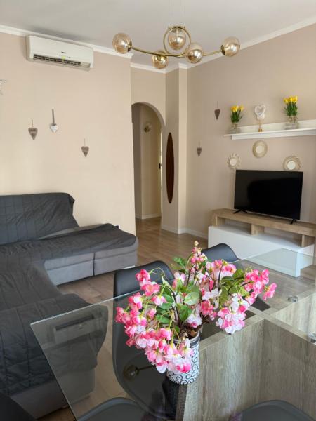 Nt Tourist Accommodation - Santa Marinella