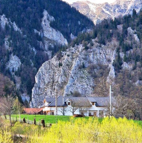 The Origin ● Mountain Guesthouse ● Magura - Zărnești