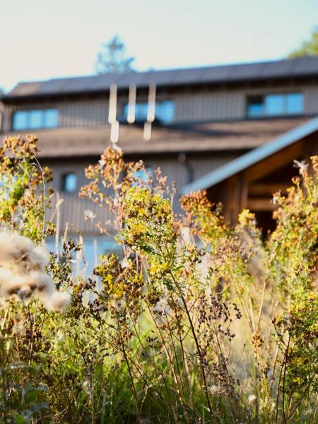 Waldgut Naturresort - Pirna