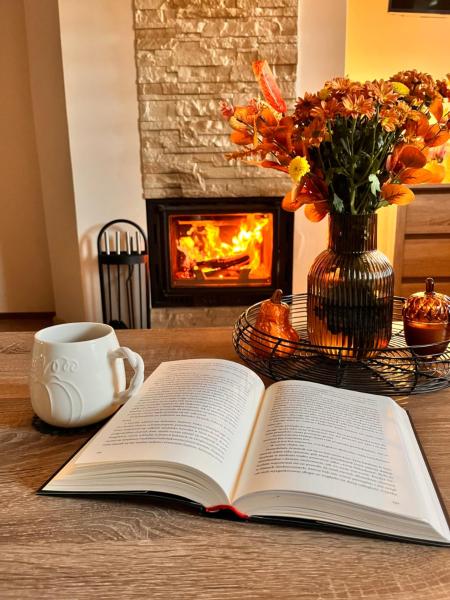 Solina Domki-„solińskie Wzgórze” - Polańczyk