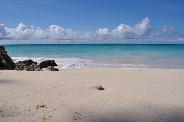 Two Palms Apartment - In Sweet Jewel Apartments - Barbados