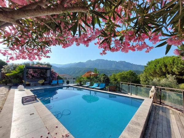 Villa Rundinella - Corse-du-Sud