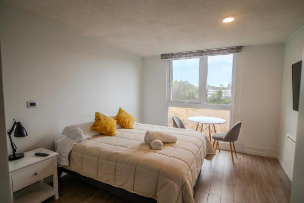 Apartamento En Valdivia, 1 Habitación, Tv, Wifi, Lavandería - Valdivia