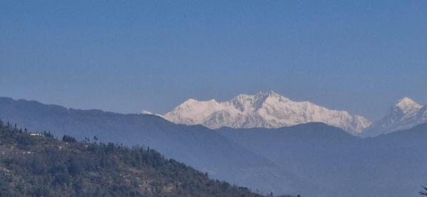 Bbasan Farms - Sikkim