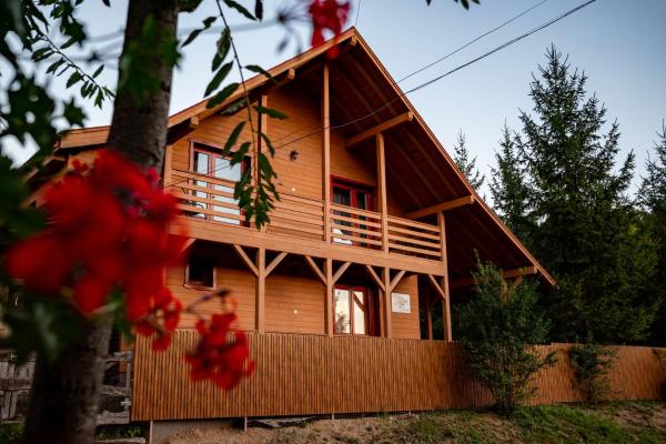 Pensiunea Pepe Panzió - Zetea