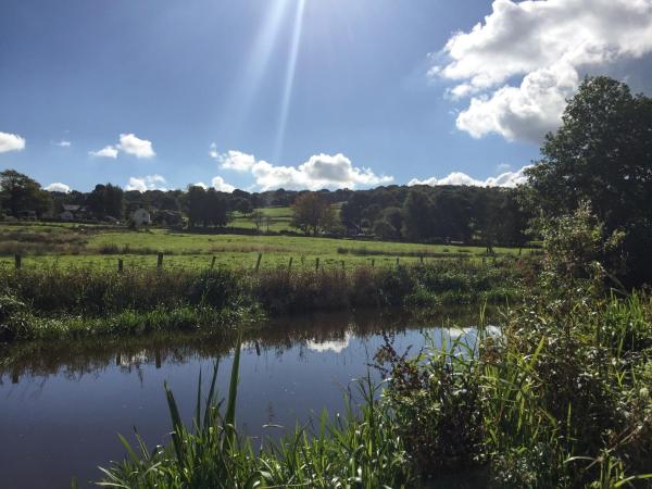 Serenity- Uk38551 - Congleton