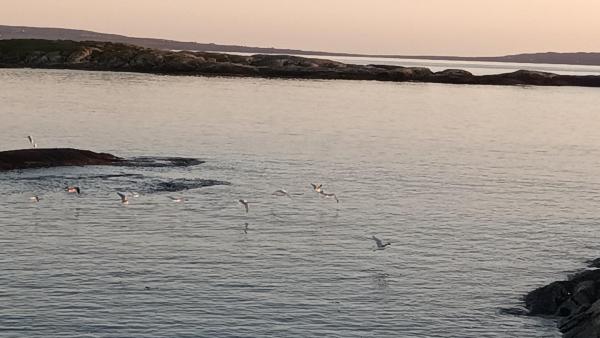 Sea Breeze House - Clare County