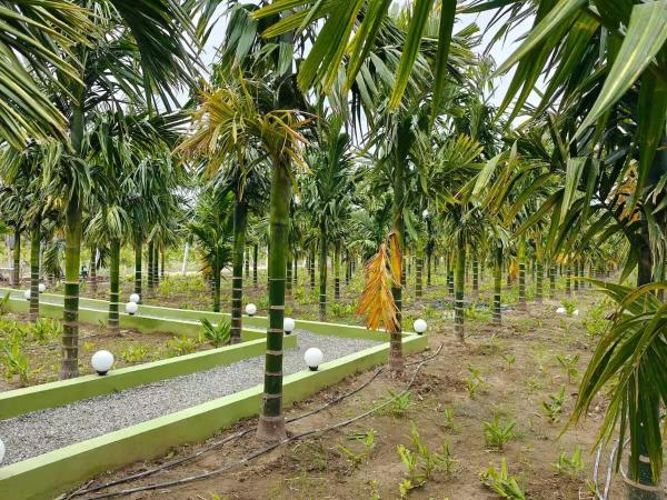 Siruvani Farm Stay Near Isha Yoga Adiyogi - Kerala