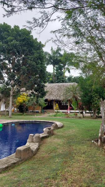 Palms Oasis Montañita - Montanita