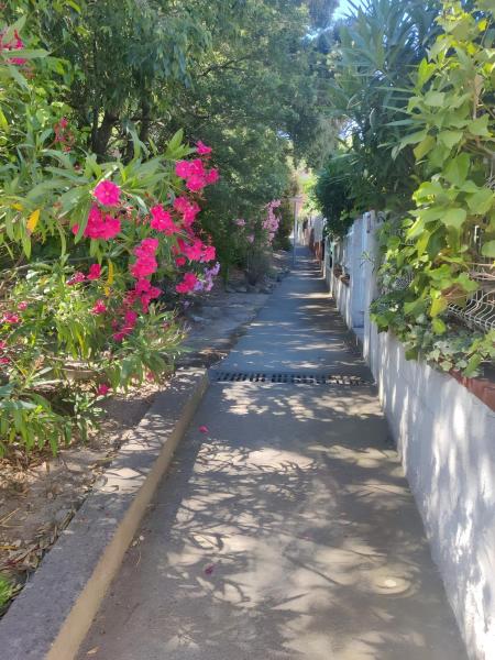 Ma Petite Maison De Vacances - Pyrénées-Orientales