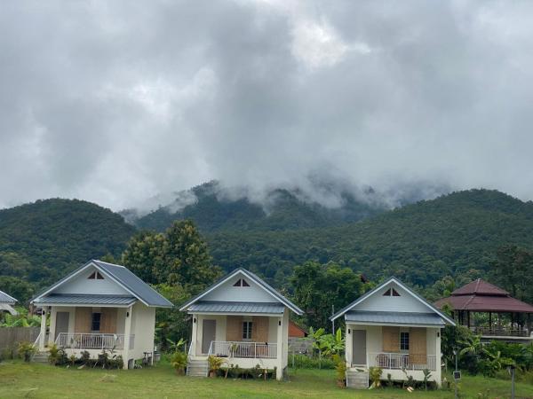 Pai Fields Good - Mae Hong Son