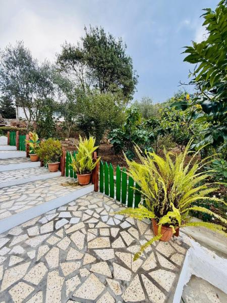 Family House Ain Draham - Tunisie