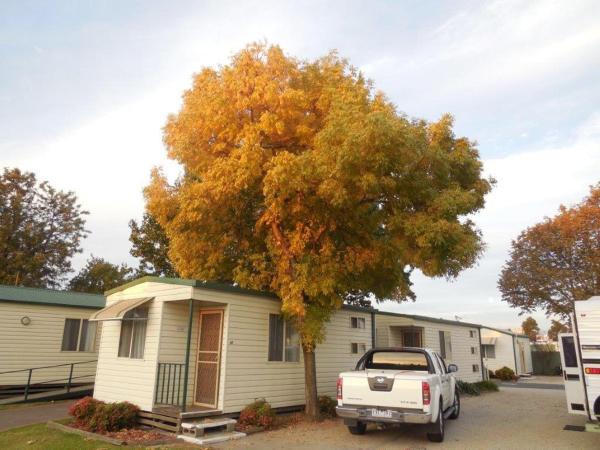 Wodonga Caravan & Cabin Park - Albury