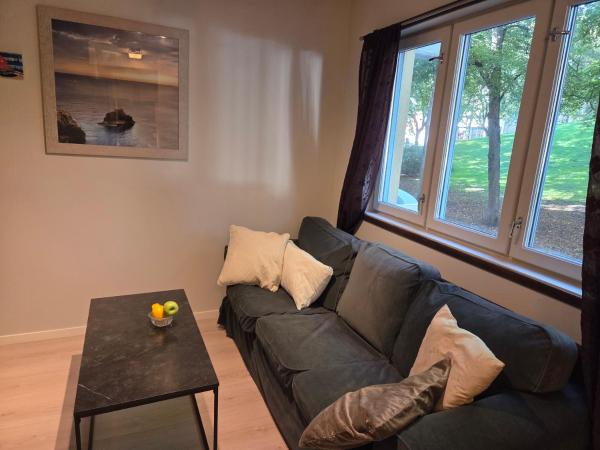 Apartment In Central Part Of Oslo - Nesoddtangen