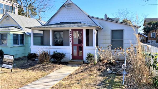 Little Sandpiper - Cape May, NJ