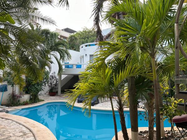 Blue Angel 22 A Unos Paso De La 5v Y La Playa - Playa del Carmen