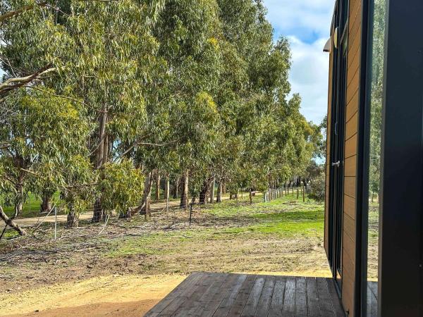 Xmas Rocks X By Tiny Away - Murray River
