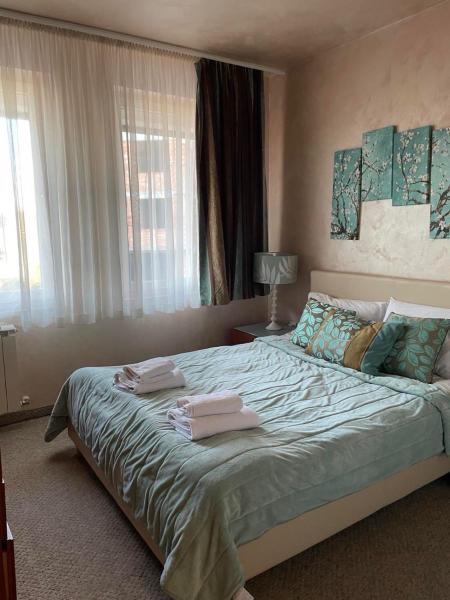 Eleonor Mountain Apartment 2 - Bansko