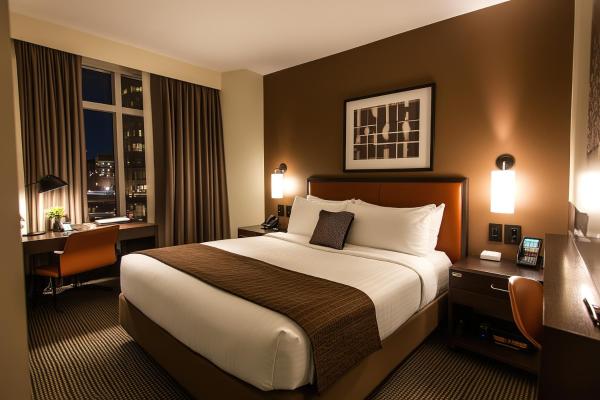 Hotel The Regal Havan Near Igi Airport - Delhi