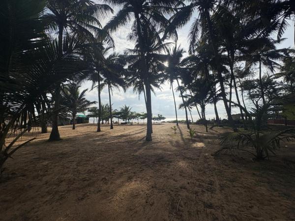 Coco Beach Front Stay - Gokarna