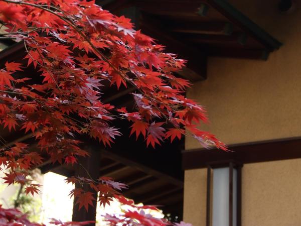 数寄屋風旅館からさわ - 金沢市