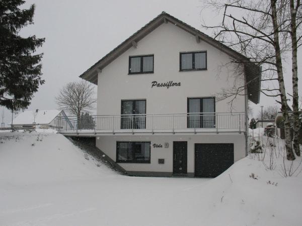 Villa In Küstelberg S Mountain - Winterberg