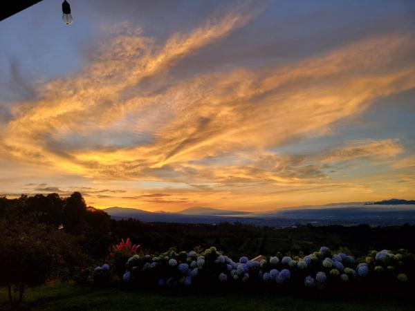 A Place To Create Dreams - Bajos del Toro