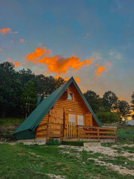 Forest Rest - Montenegró