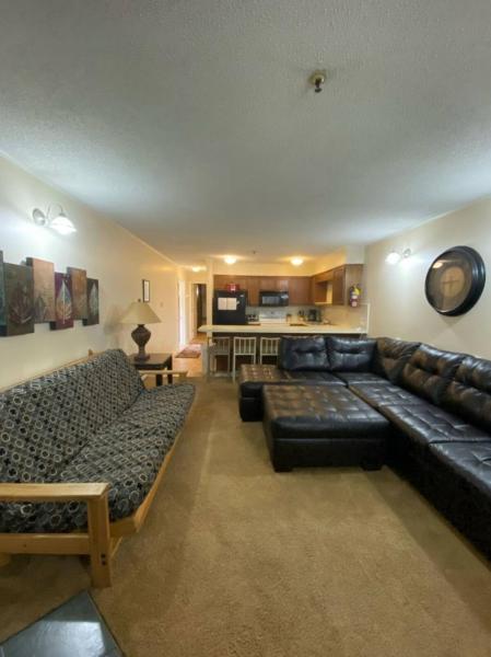 Winterplace Ski In Ski Out Condo First Floor D105 - Brush Creek Falls, Athens