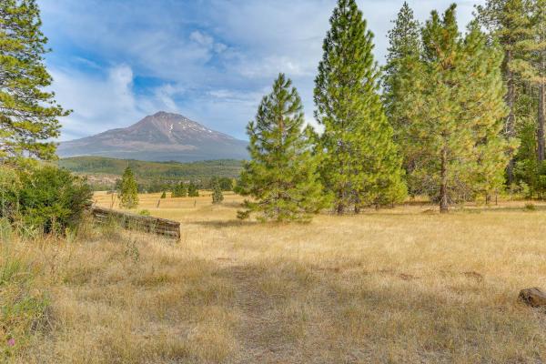 Outdoor Adventure Haven - 15 Mi To Mount Shasta! - Mount Shasta