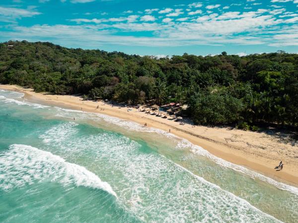 Palmar Beach Lodge - Panama
