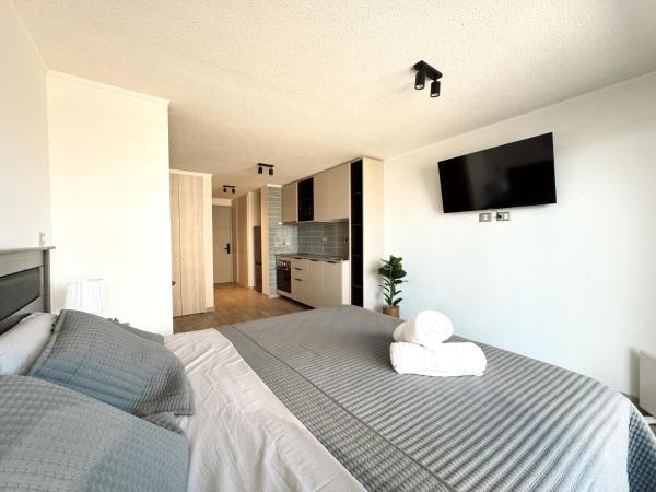 Apartamento Santiago, Movistar Arena, Piscina, Gym, Lavandería - Puente Alto