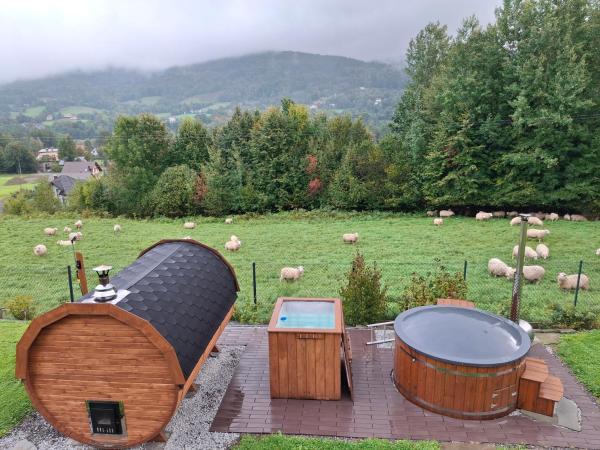 Apartament Wrzosowisko - Ustroń