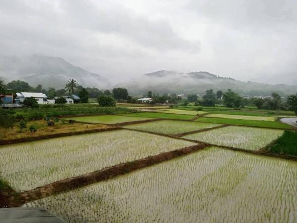 เฮือนป้อหลวง - Thailand