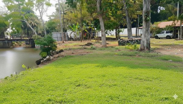 Ceylon Villa Resort - Mirissa