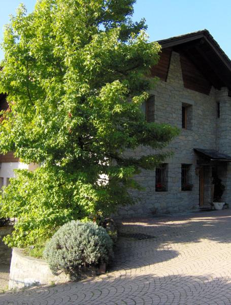 Le Lierre - Saint-Vincent