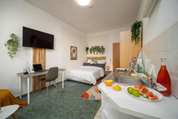 Ruhiges Studio In Altstadt Mit Gartenblick & Sofa - Freiberg