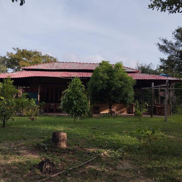 Eco Sitio A Flor Do Bacuri - Pará (estado)