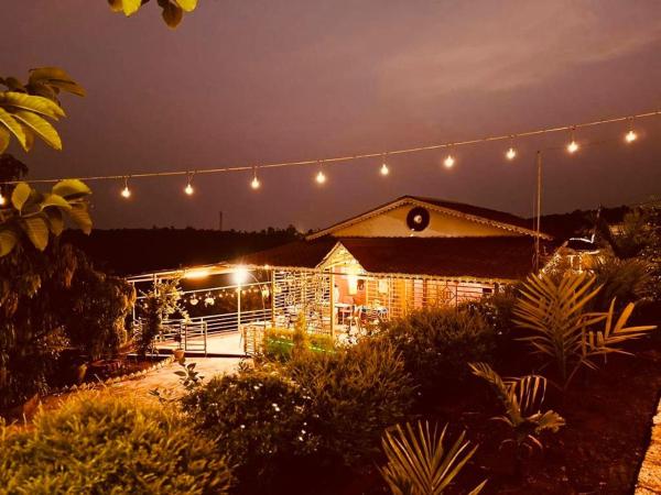 The Alphonso Mango County - Dapoli