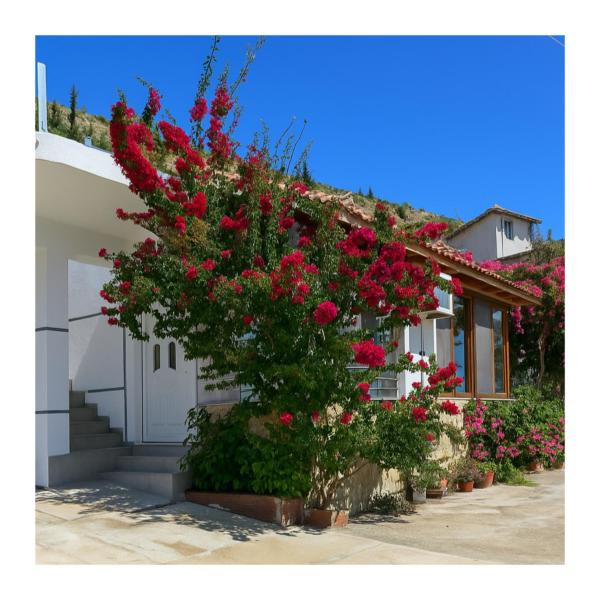 Denni’s Home - Saranda