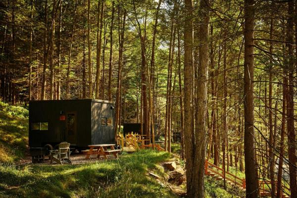 Postcard Cabins Eastern Catskills, Outdoor Collection By Marriott Bonvoy - Hudson Valley, NY