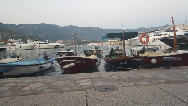 Hibiscus Guest House - Budva