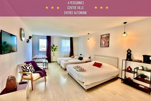 " Studio Zen Lourdes " 4 Personnes - Centre Ville - Adé