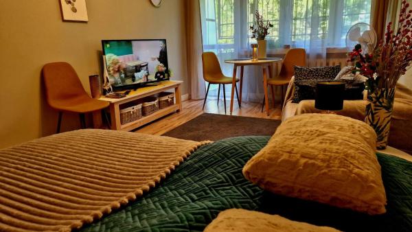 Apartament Wapienna - Łódź