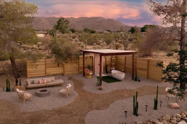 Desert Flora By The Cohost Company - Joshua Tree, CA