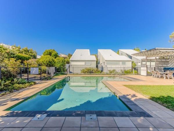 Pandanus 13 - Pottsville