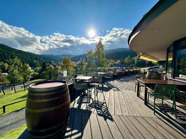 ÚTulna Craft - Penzion Veronika - Karpacz