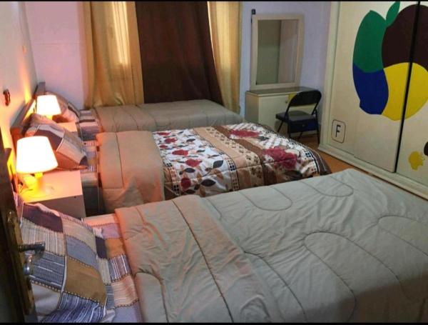 Private Family Apartment In Dokki - Giza