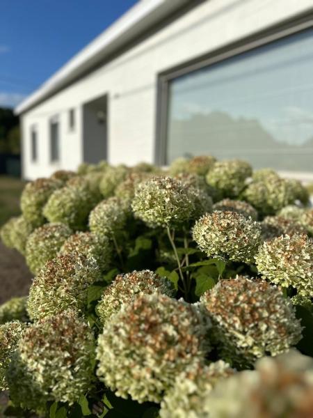 Guesthouse Eekhoorn 16 - Beerse