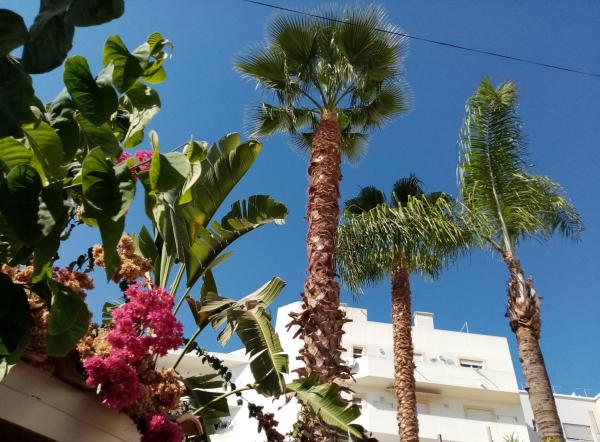 Casa Rustica - Courtyard House - Faro